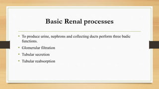 Tubular secretion and tubular reabsorption | PPTX