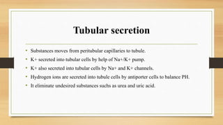 Tubular secretion and tubular reabsorption | PPTX