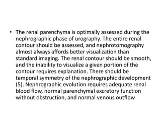 Renal radilogy | PPTX