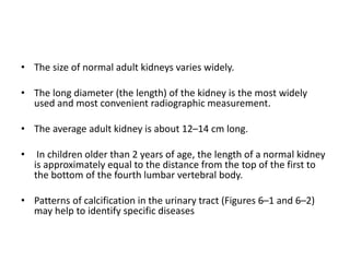 Renal radilogy | PPTX