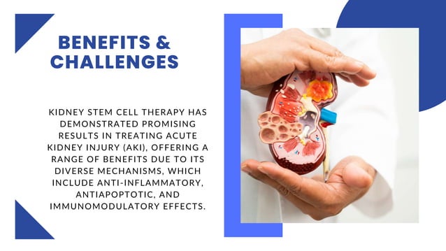 Renal Regeneration: Exploring the Potential of Stem Cell Therapy in ...