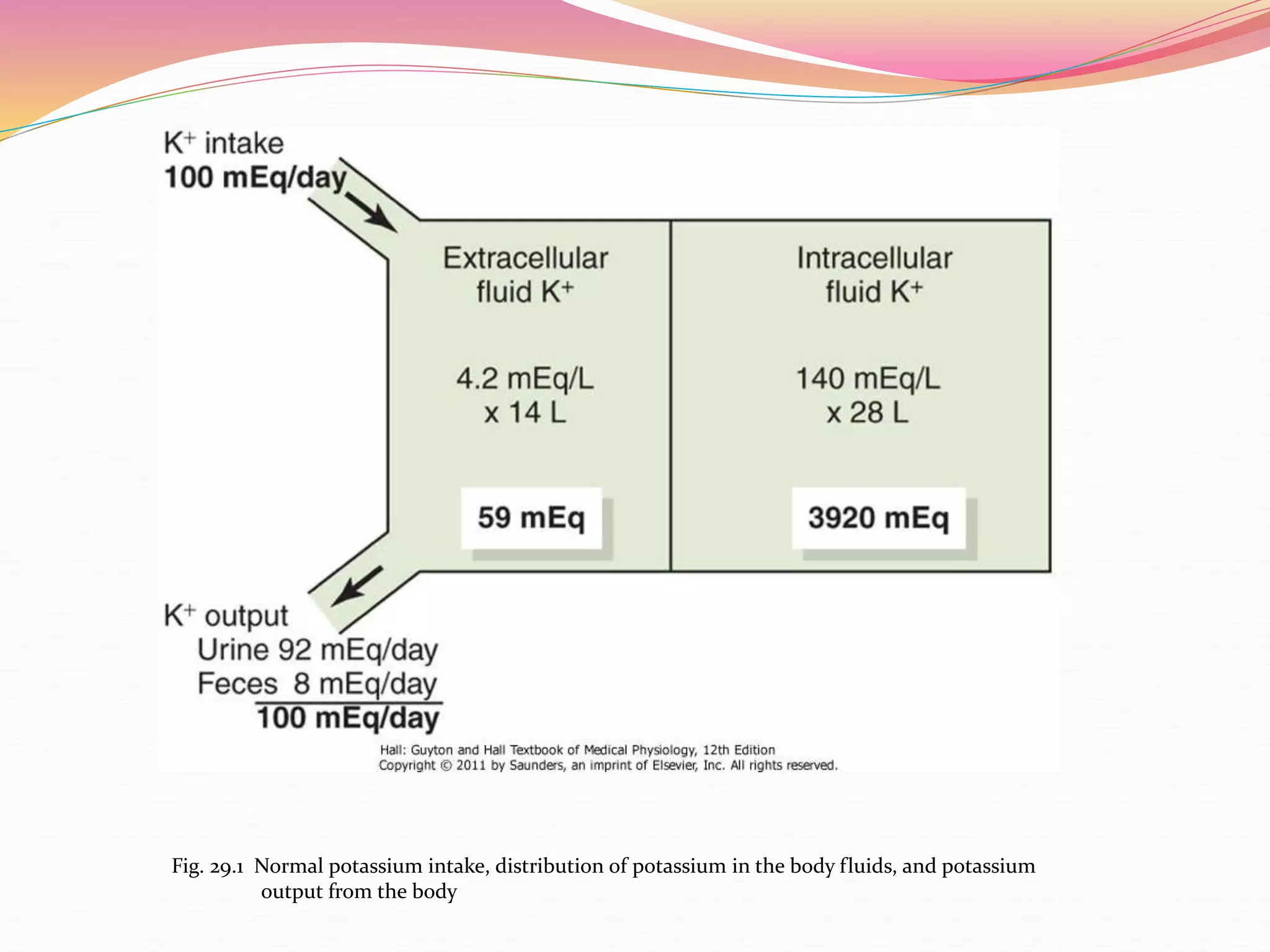 RENAL REGULATION.ppt