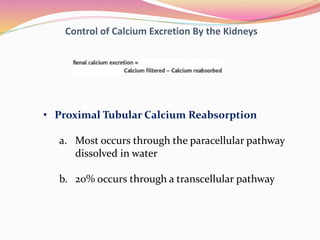 RENAL REGULATION.ppt