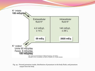 RENAL REGULATION.ppt