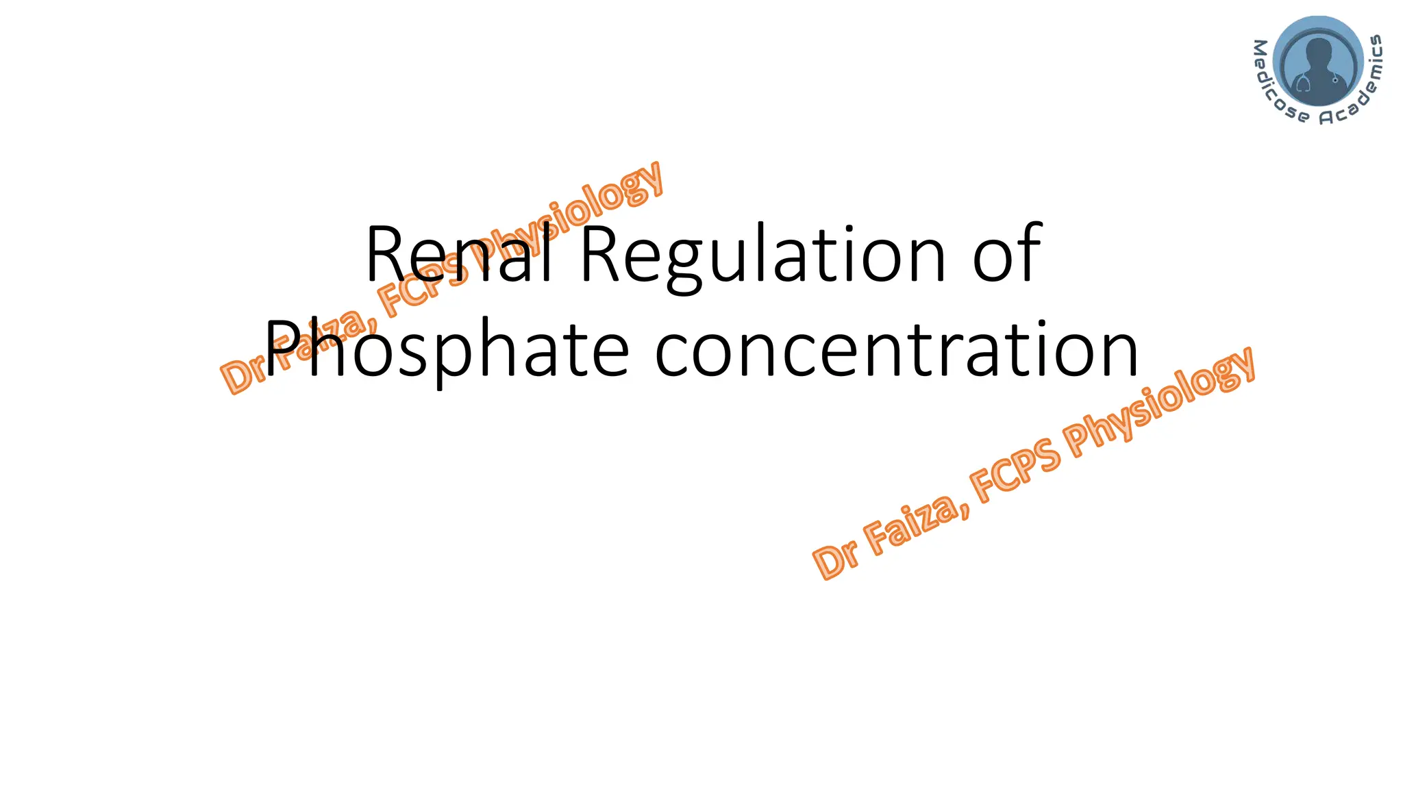 Renal Regulation of Potassium, Calcium, Magnesium and Phosphorus | PDF