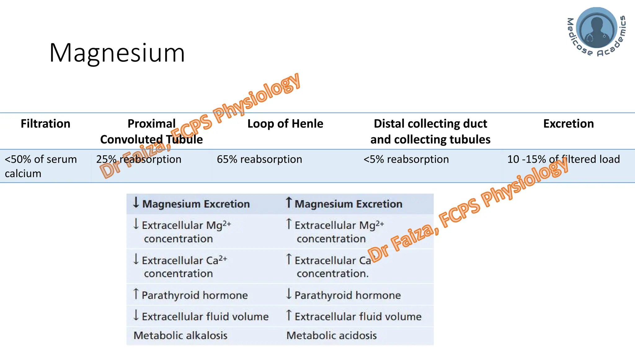Renal Regulation of Potassium, Calcium, Magnesium and Phosphorus | PDF