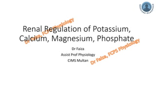 Renal Regulation of Potassium, Calcium, Magnesium and Phosphorus | PPT