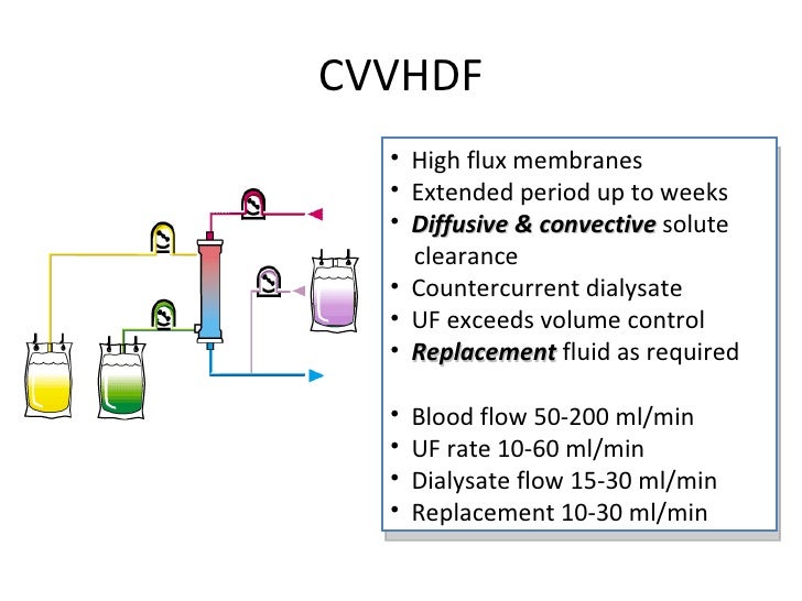Renal replacement therapy in intensive care