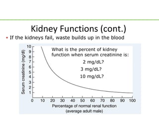 Renal revised | PPT