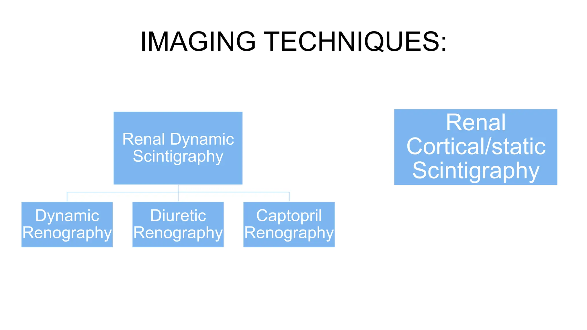 RENAL SCINTIGRAPHY.pptx