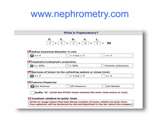 R.E.N.A.L. Nephometry scoring system | PPTX