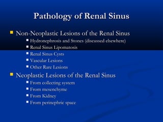 Renal Sinuses