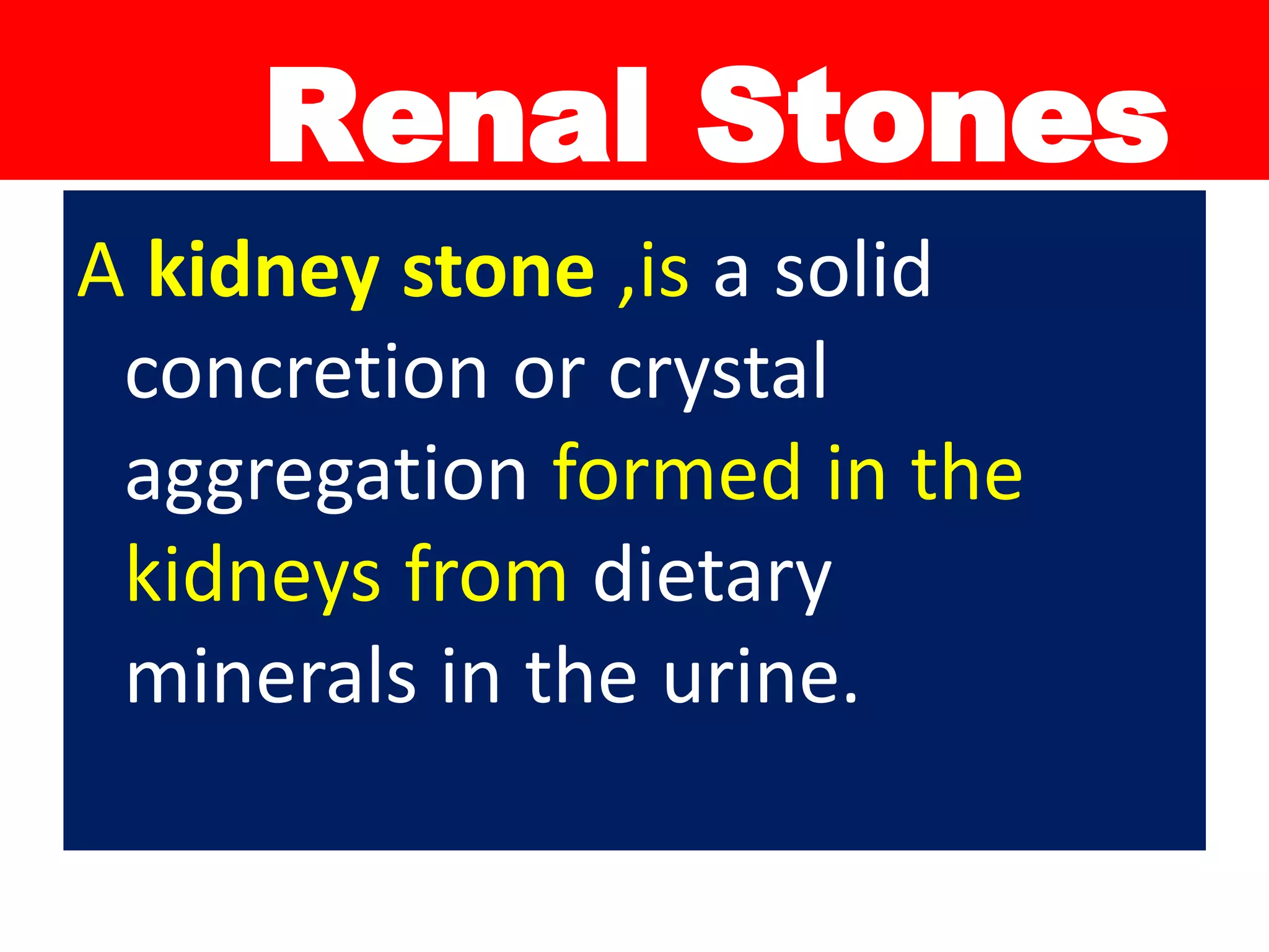 renal stone.ppt