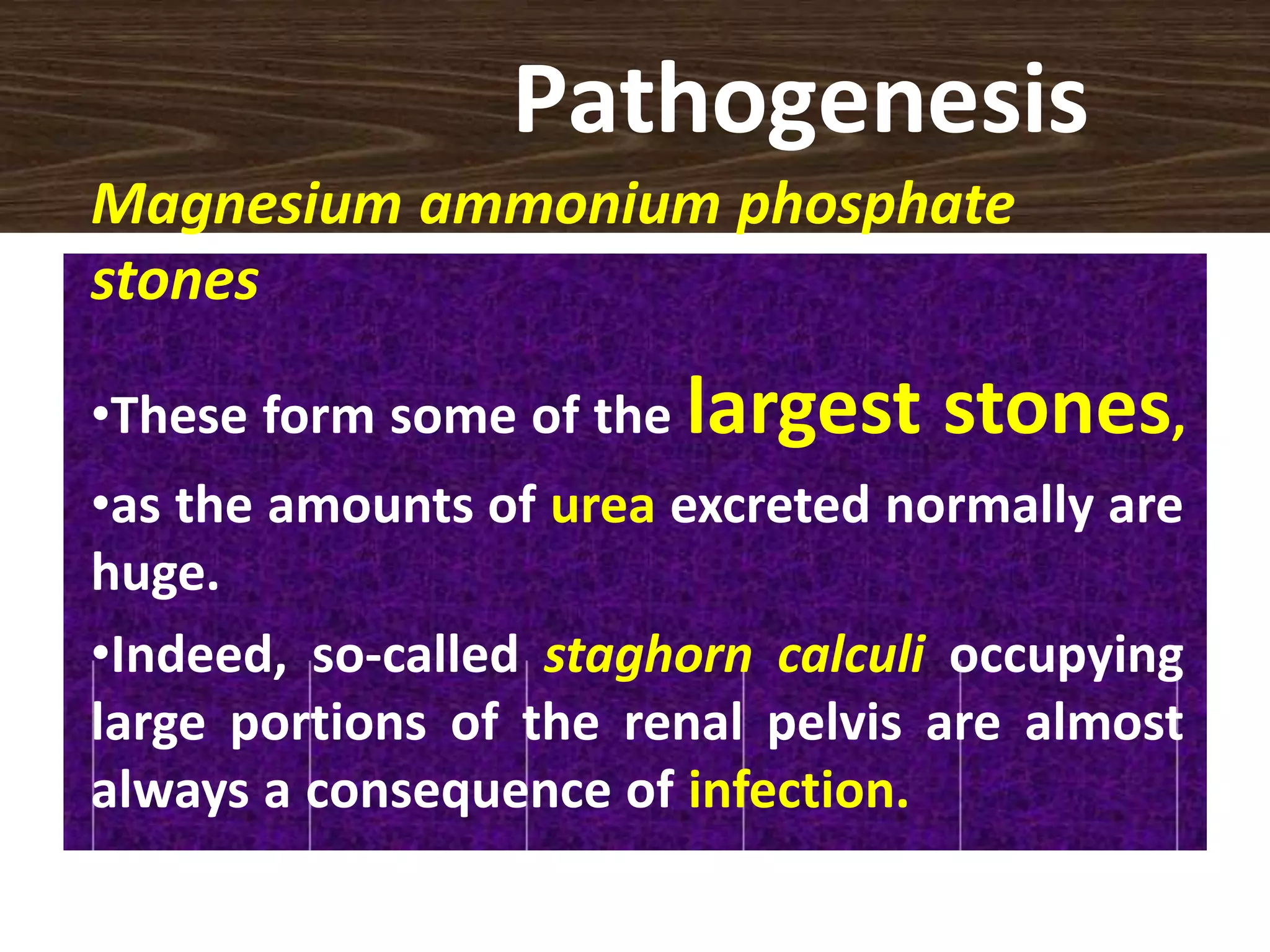 renal stone.ppt