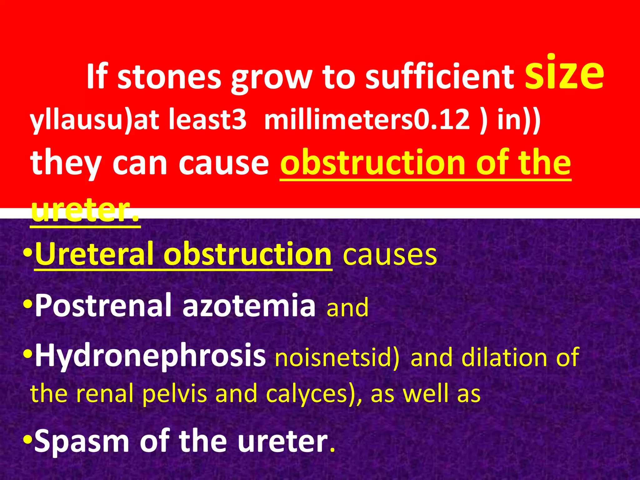 renal stone.ppt