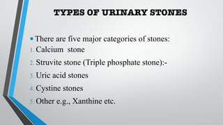 renal stone.pdf