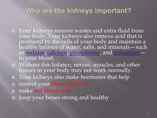 Renal Stone Medical Surgical nursing.pptx