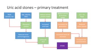 Renal stone disease | PPTX