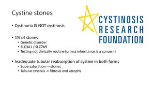 Renal stone disease | PPTX