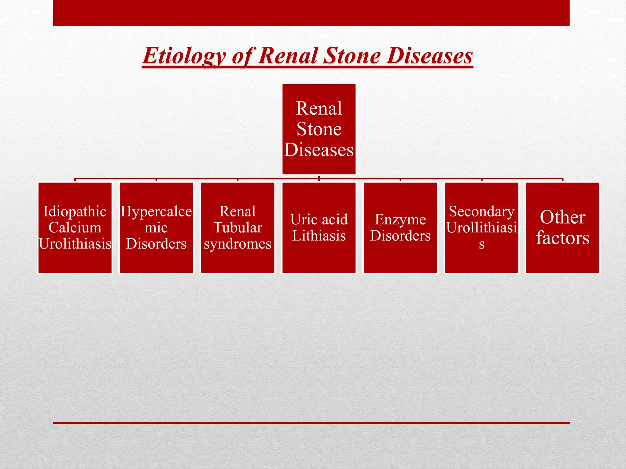 Renal Stone Diseases.pptx.....defination | PPTX