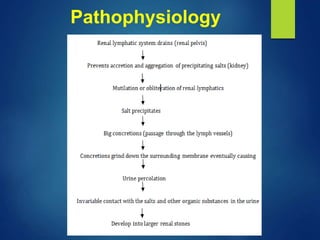 Renal stone | PPT