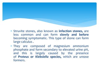 RENAL STONES AND ITS MANAGEMENT IN PATIENTS.pptx