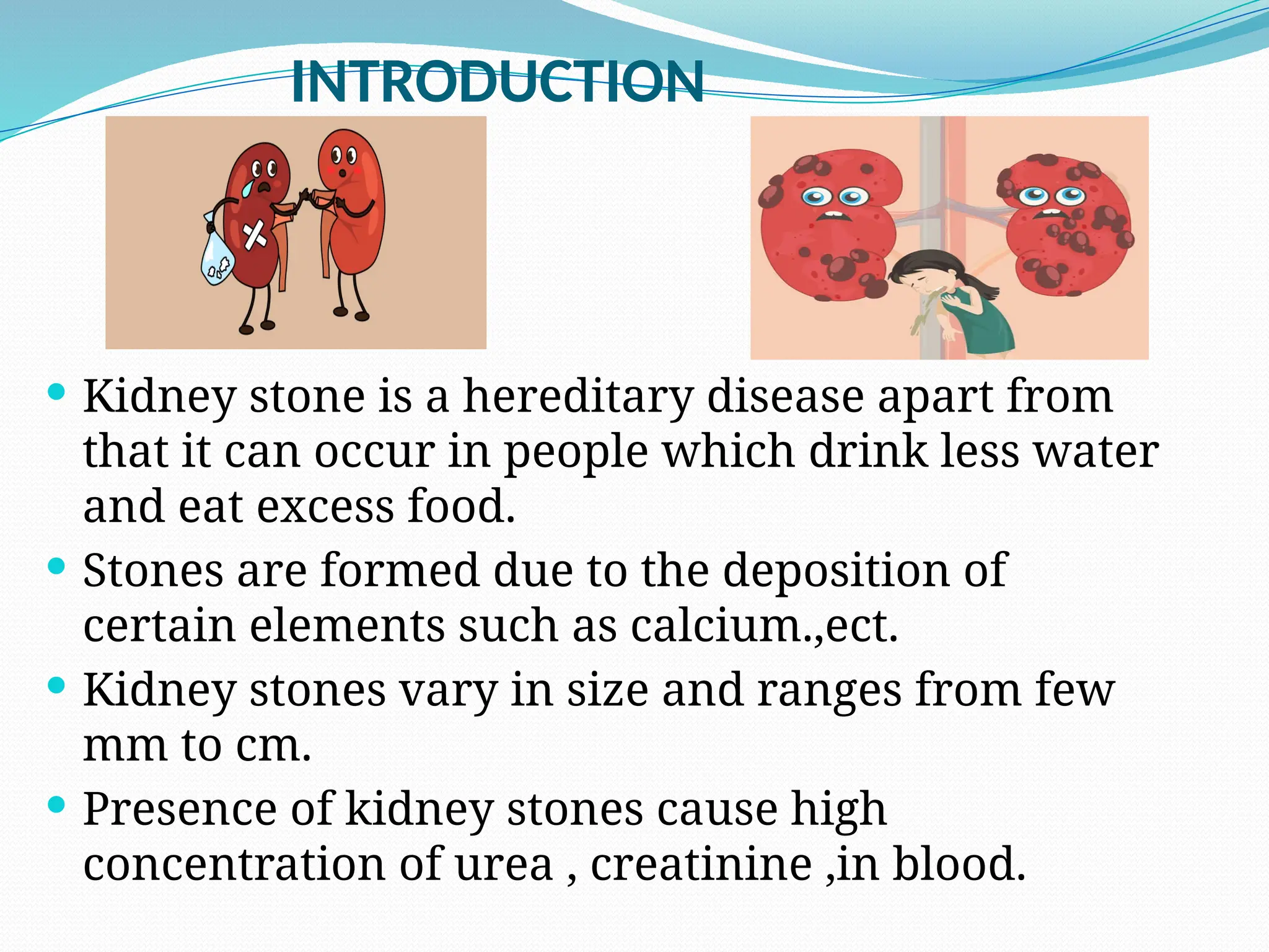 RENAL STONES,Definition types,causes ,risk factor | PPT