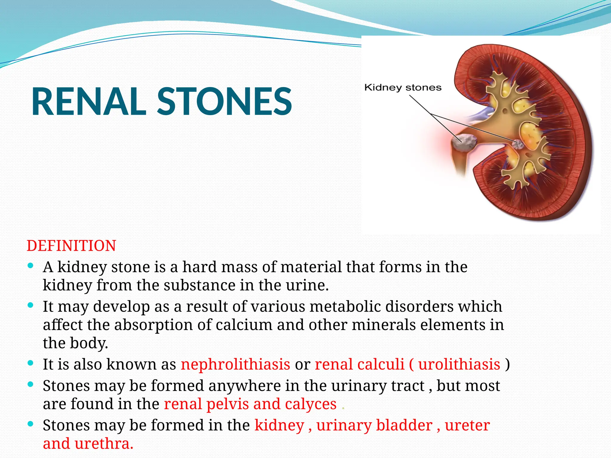 RENAL STONES,Definition types,causes ,risk factor | PPTX