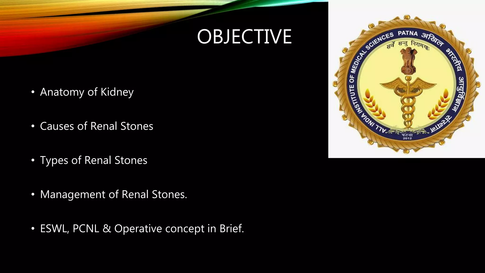 Kidney Stone By Dr ANIL KUMAR, Associate Professor( AIIMS-Patna) | PPTX