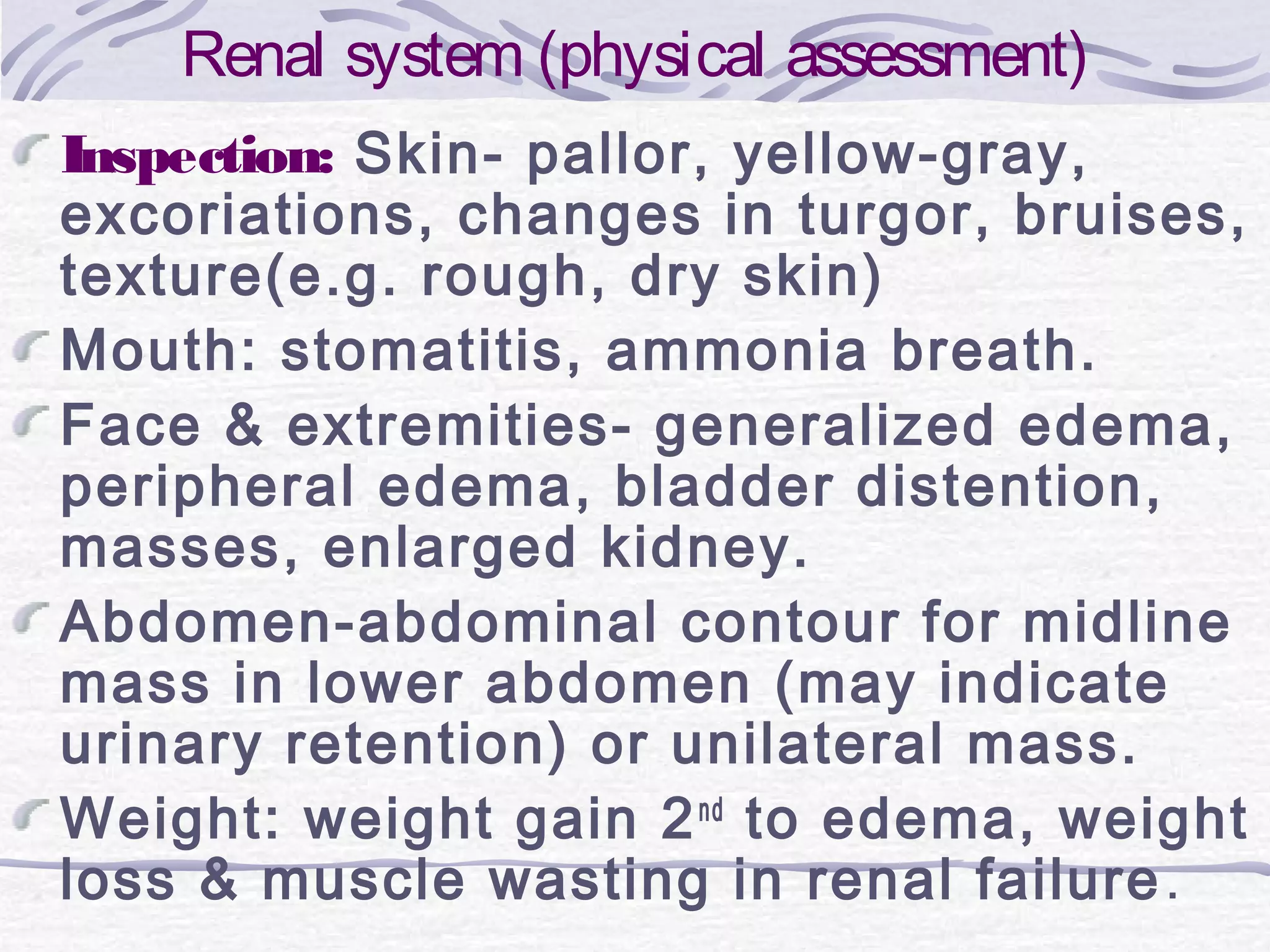 Renalsystem | PPT
