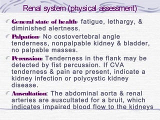 Renalsystem | PPT