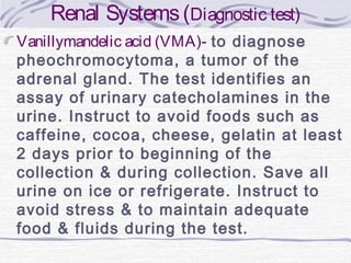 Renalsystem | PPT