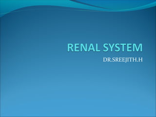 Renal system | PPT