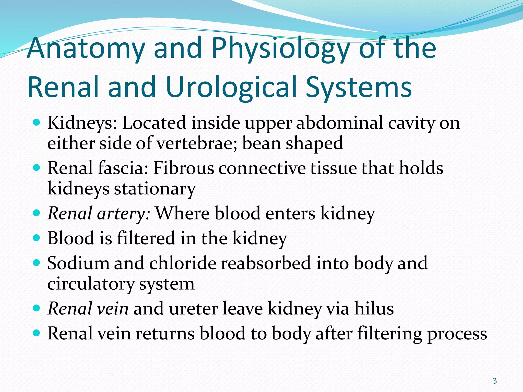 Renal system | PPTX | Chemistry | Science