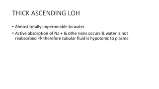 RENAL PHYSIOLOGY REVISION NOTES | PDF
