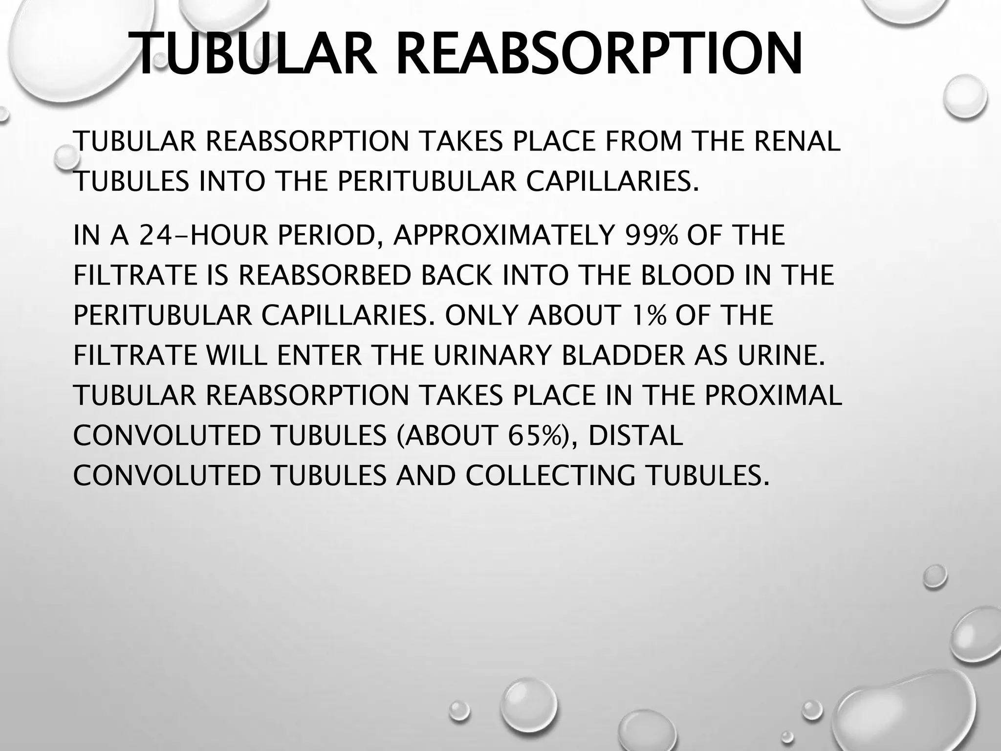 Human Urinary system: Anatomy and Physiology | PPTX