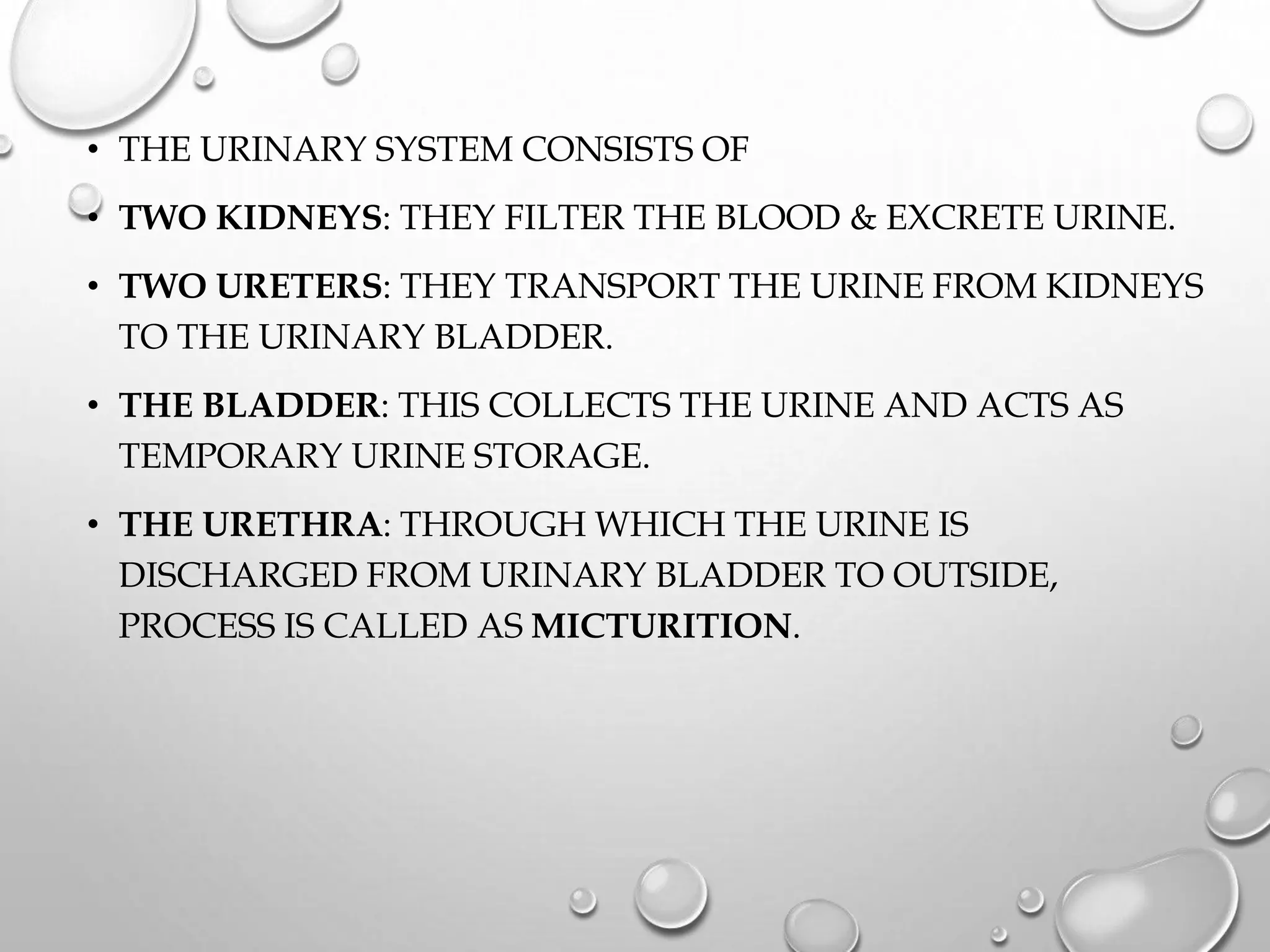 Human Urinary system: Anatomy and Physiology | PPTX
