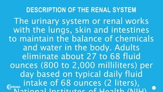 Renal system | PPTX