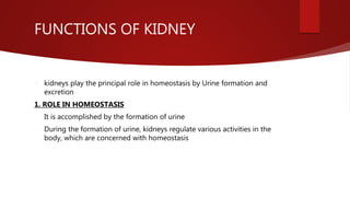Renal system | PPTX