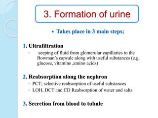 renal system..........................pptx