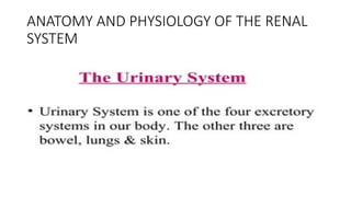 renal system.pptx1. anatomy and physiology overview. | PPT