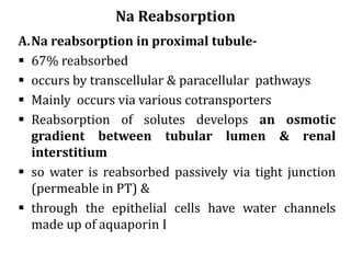 Renal System reabsorption of calcium and other minerals | PPTX