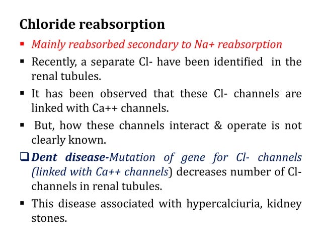 Renal System reabsorption of calcium and other minerals | PPTX