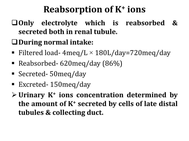 Renal System reabsorption of calcium and other minerals | PPTX