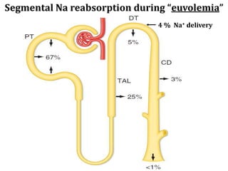 Renal System reabsorption of calcium and other minerals | PPTX