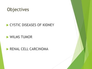 Renal system -DOAP pathology ppt class.ppt