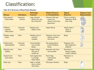 Renal system -DOAP pathology ppt class.ppt