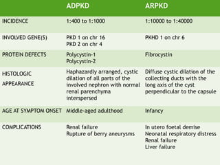 Renal system -DOAP pathology ppt class.ppt