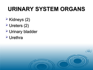 Comprehensive Anatomy and Physiology of the Human Urinary System | PPT