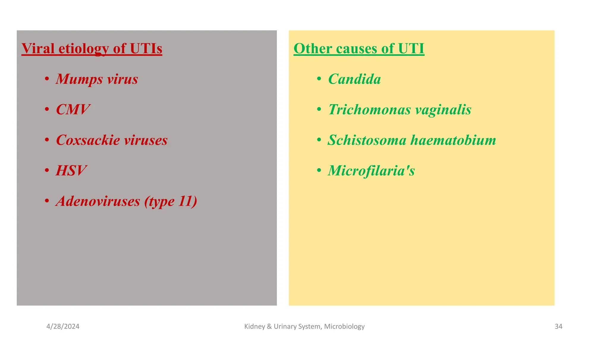 Microbiology of Renal system for medicine students (1).pptx